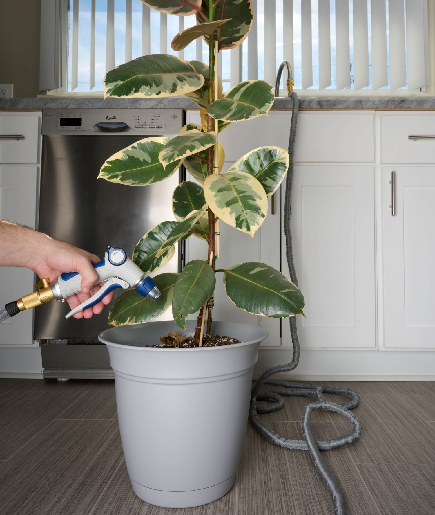 Indoor Garden Hose and Accessories | The Watering Vine